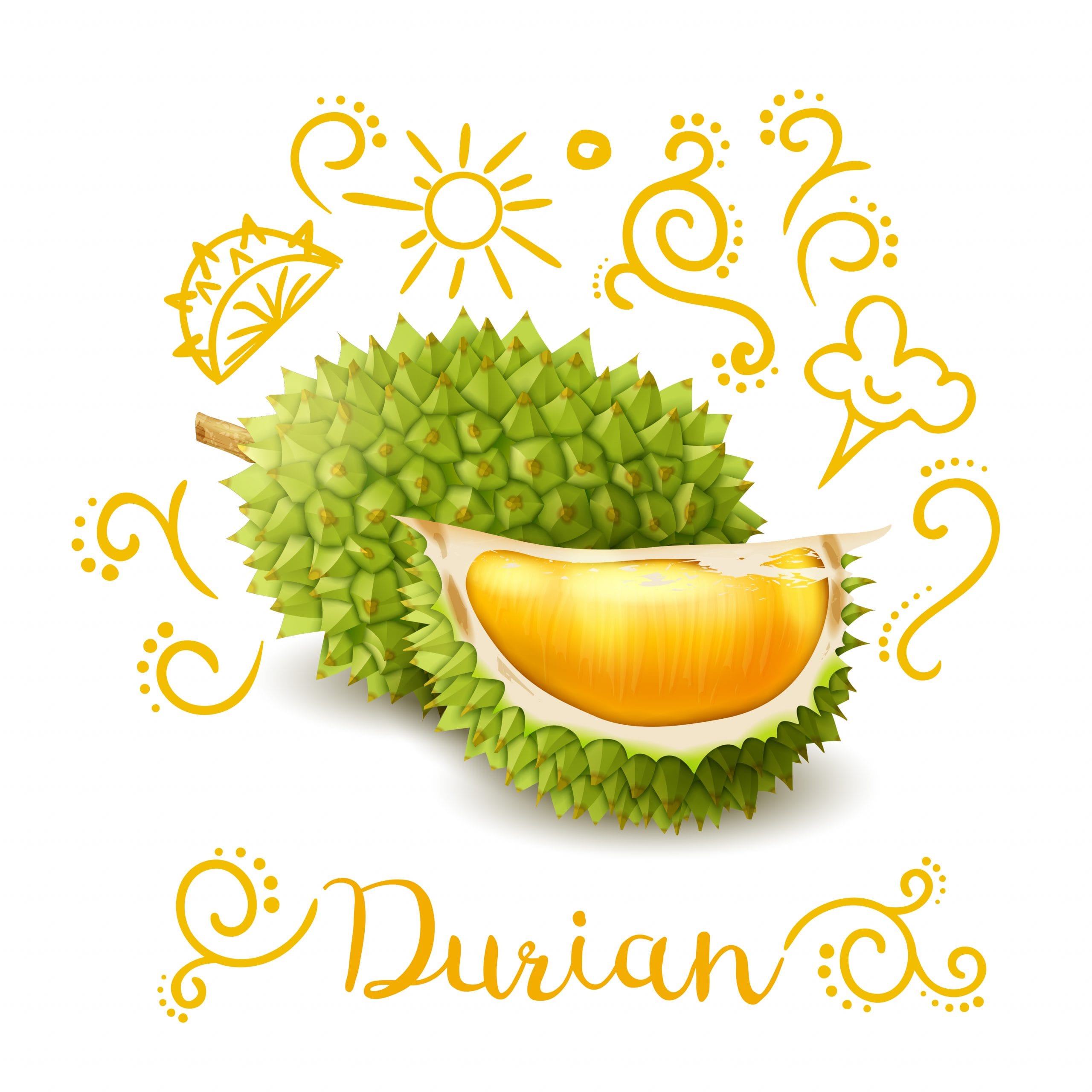 Benefits of Durian - BookDoc